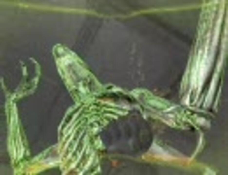 【isoが行く】Aliens vs Predator (AVP3) 実況プレイ Predator編 Part.7（前編） - ニコニコ動画