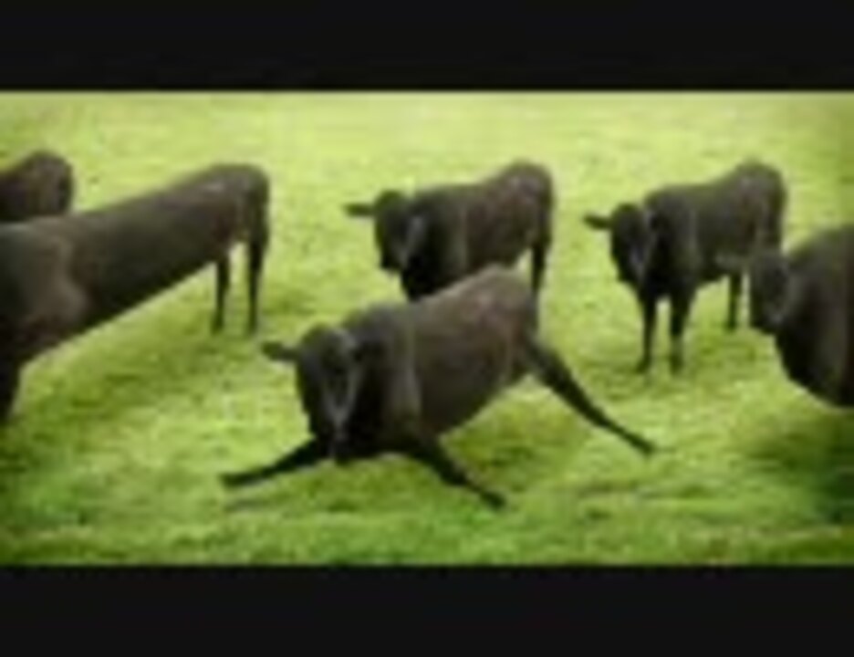 【Cyriak】Cows & Cows & Cows - ニコニコ動画