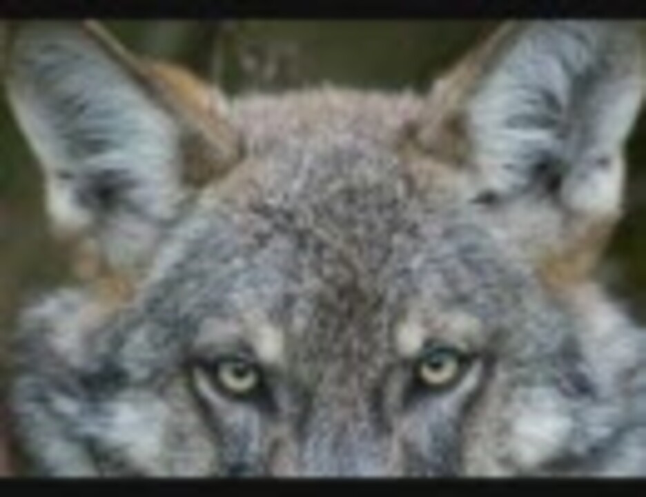 【作業用BGM】隠れ家的お店BGM Part2 - ニコニコ動画