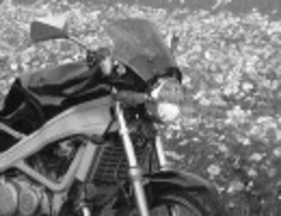 タビィの休日「都井岬」 - ニコニコ動画