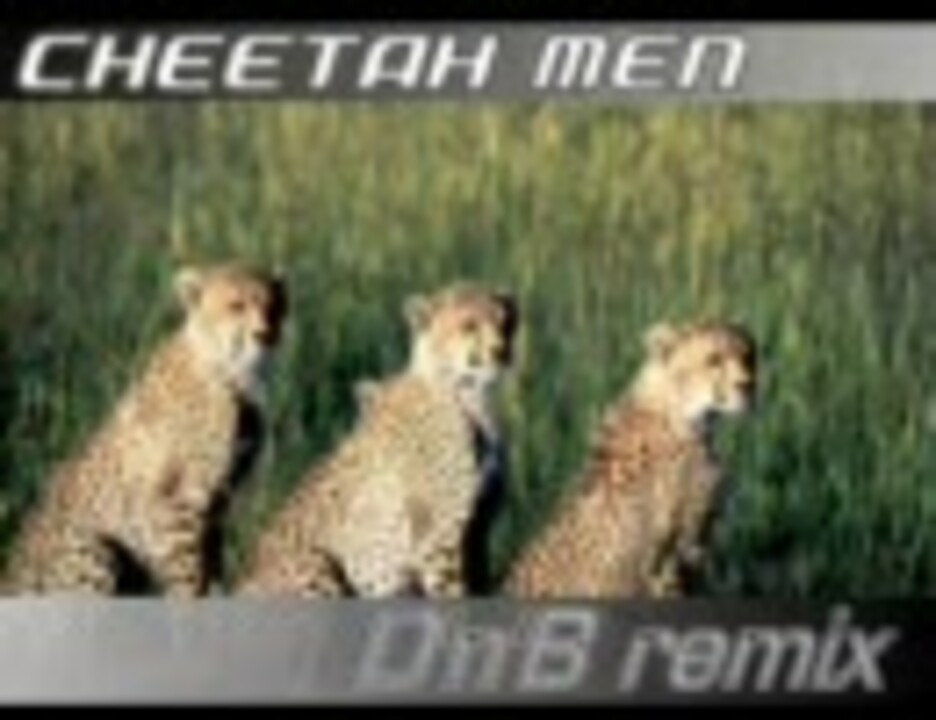 CHEETAH MEN drum'n'bass remix - ニコニコ動画