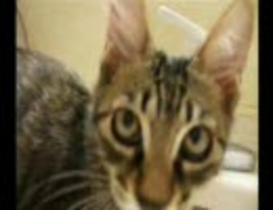 お湯遊び 後半 - ニコニコ動画