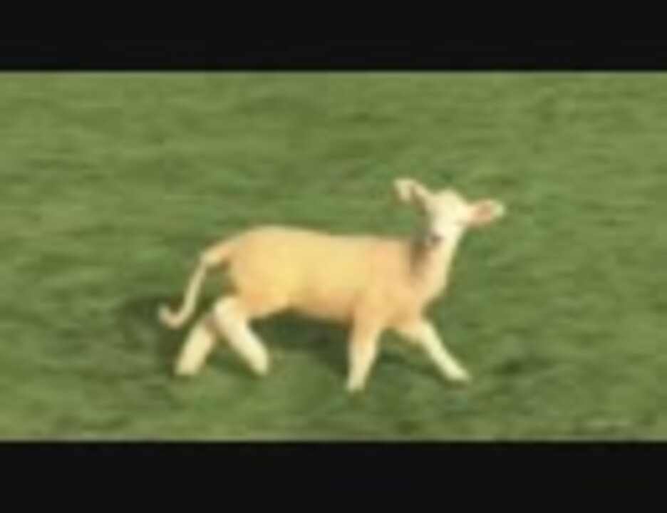 【Cyriak】 Baaa - ニコニコ動画