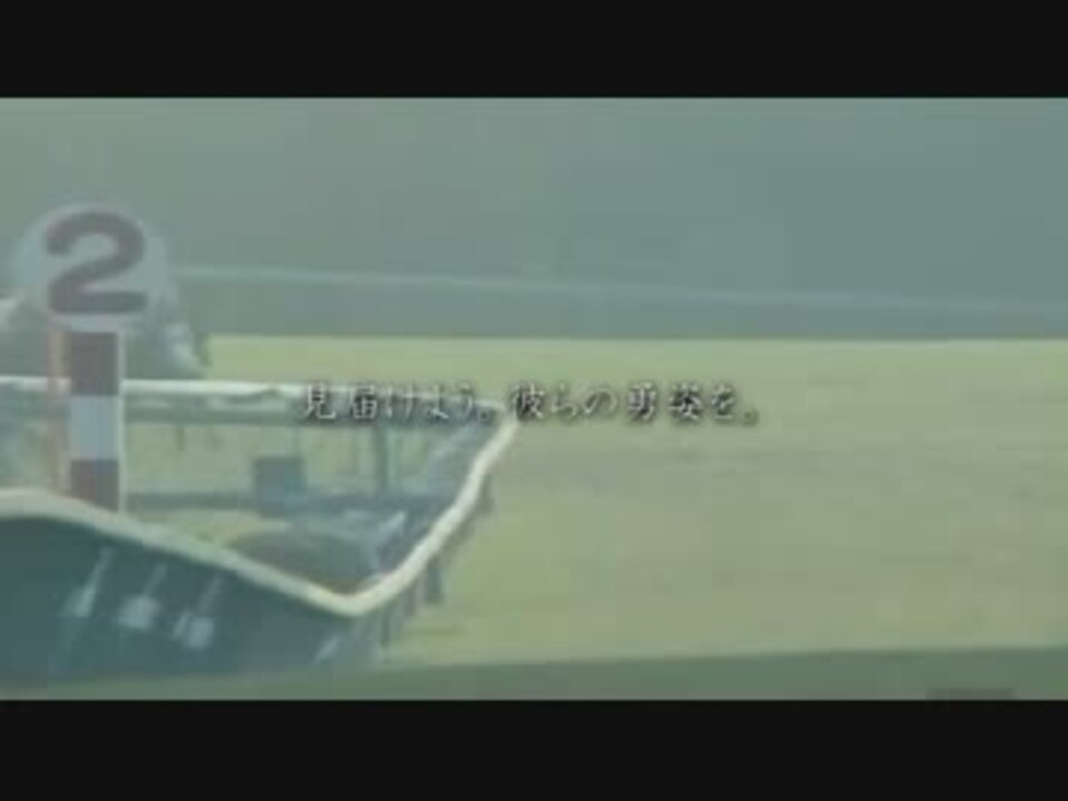 【MAD】2011 JRAプレイバック&有馬記念PV「Air & An die Freude」 - ニコニコ動画