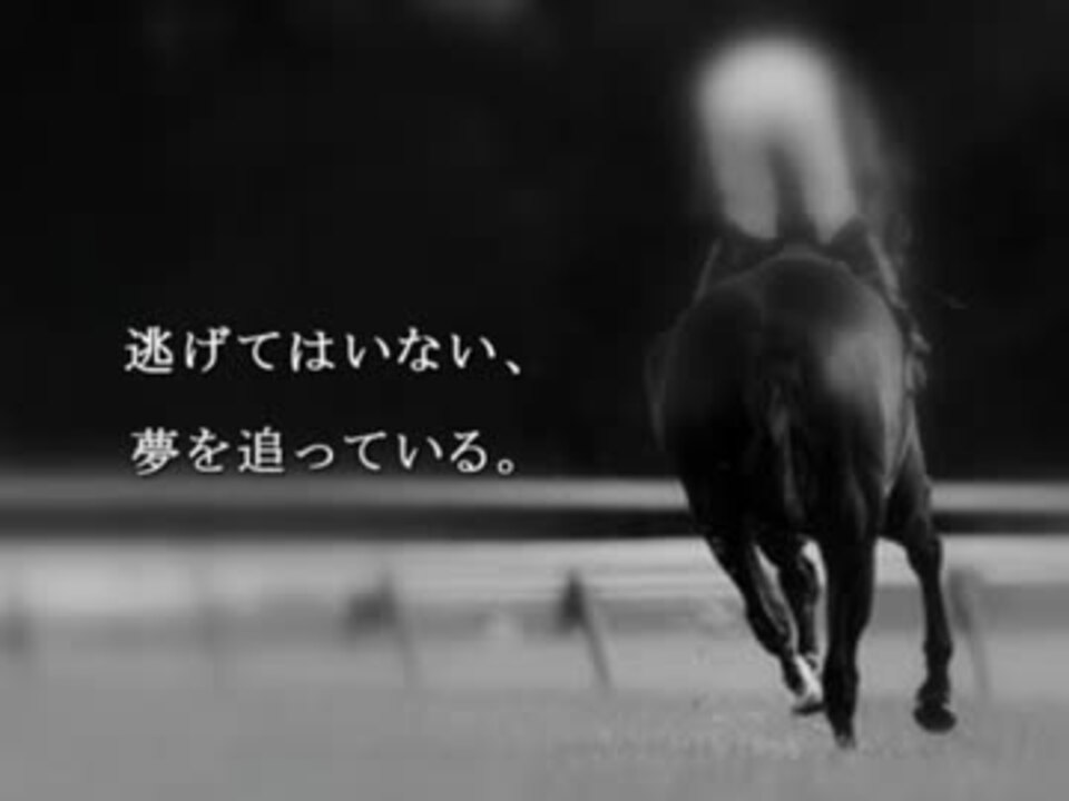 2011 JRA CM MAD 日本ダービー サニーブライアン - ニコニコ動画