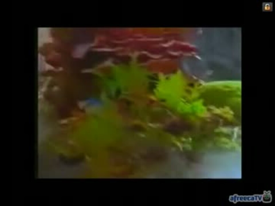 [韓国 mad] Kimo盧♡UNJI - ニコニコ動画