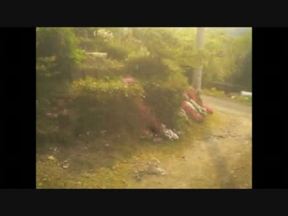 変なおじさんとこの 鶏さん63 - ニコニコ動画