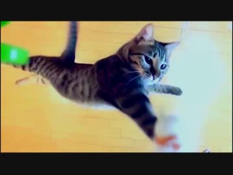 進撃のねこ 総集編Ver - ニコニコ動画