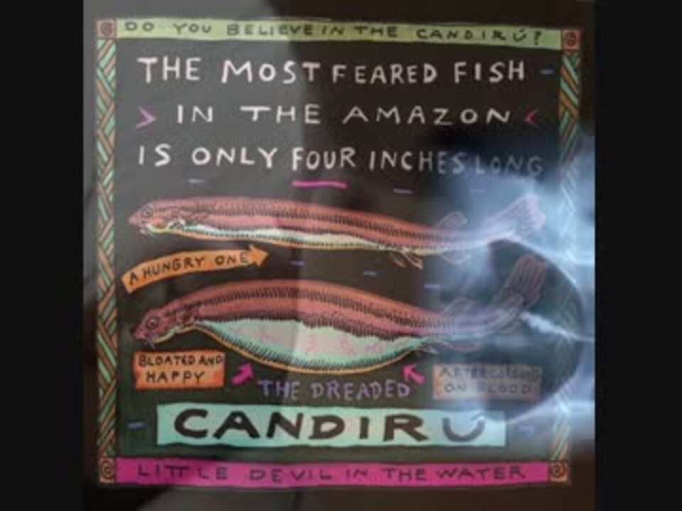 Candiru - ニコニコ動画