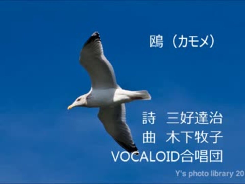 鴎（かもめ）：木下牧子 をVocaloidが合唱 - ニコニコ動画