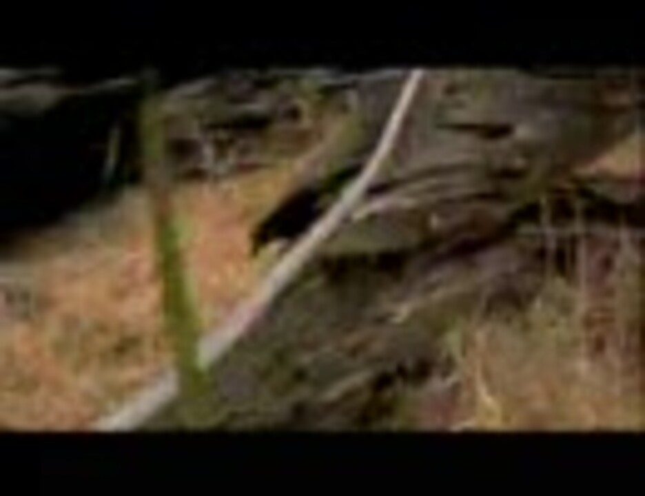 pinback - AFK - ニコニコ動画