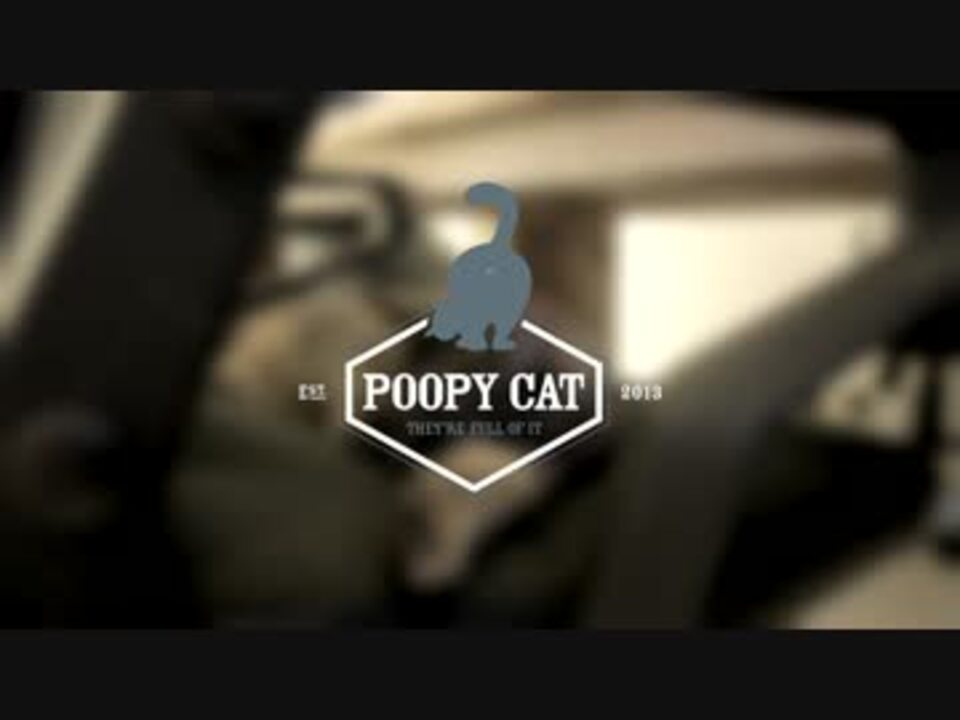 A Day at Poopy Cat Office.mov - ニコニコ動画