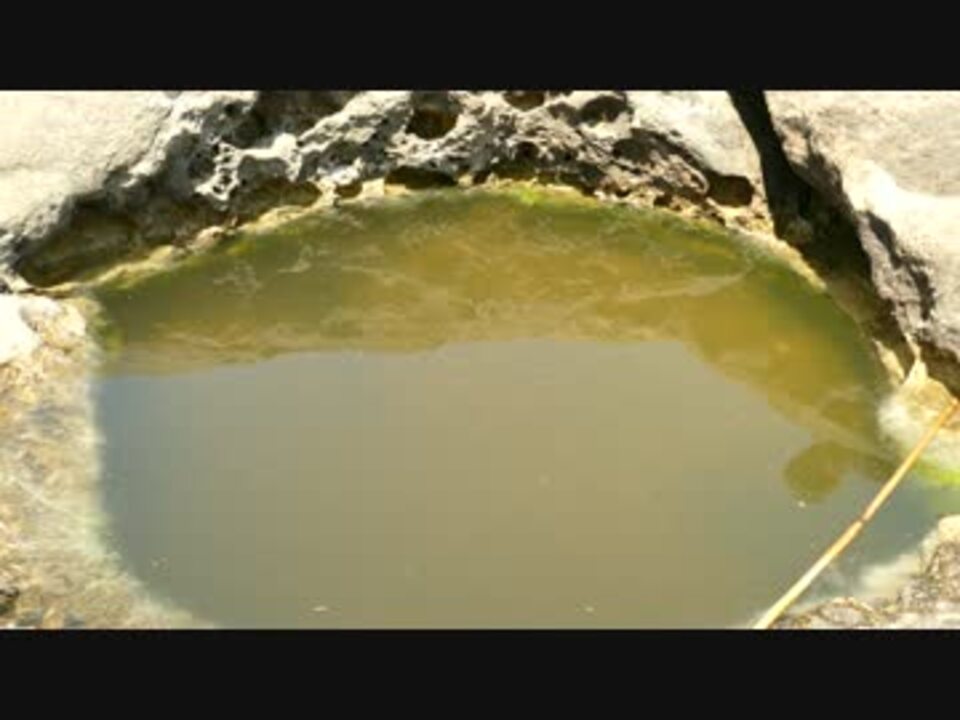 4Kボウフラ - ニコニコ動画