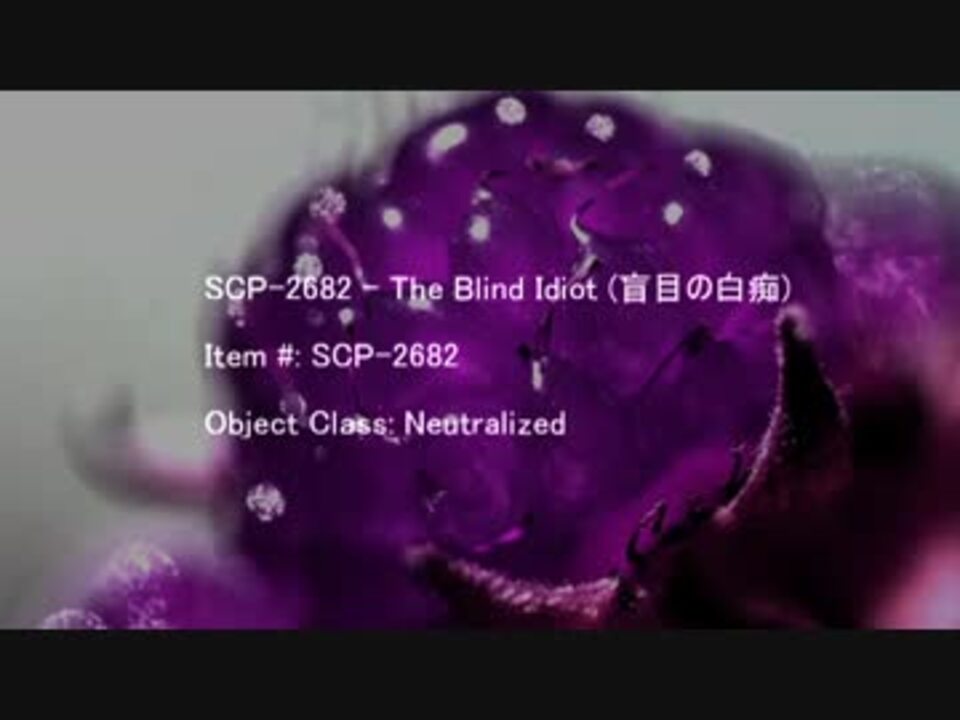 SCP-2682 - The Blind Idiot - ニコニコ動画