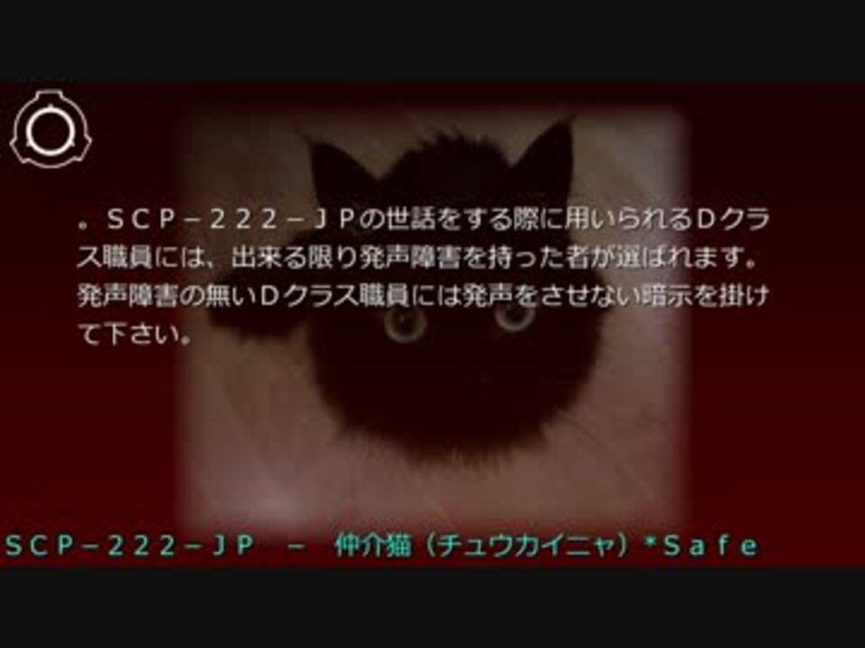 SCP財団機密データ：SCP-222-JP - 仲介猫(チュウカイニャ) - ニコニコ動画