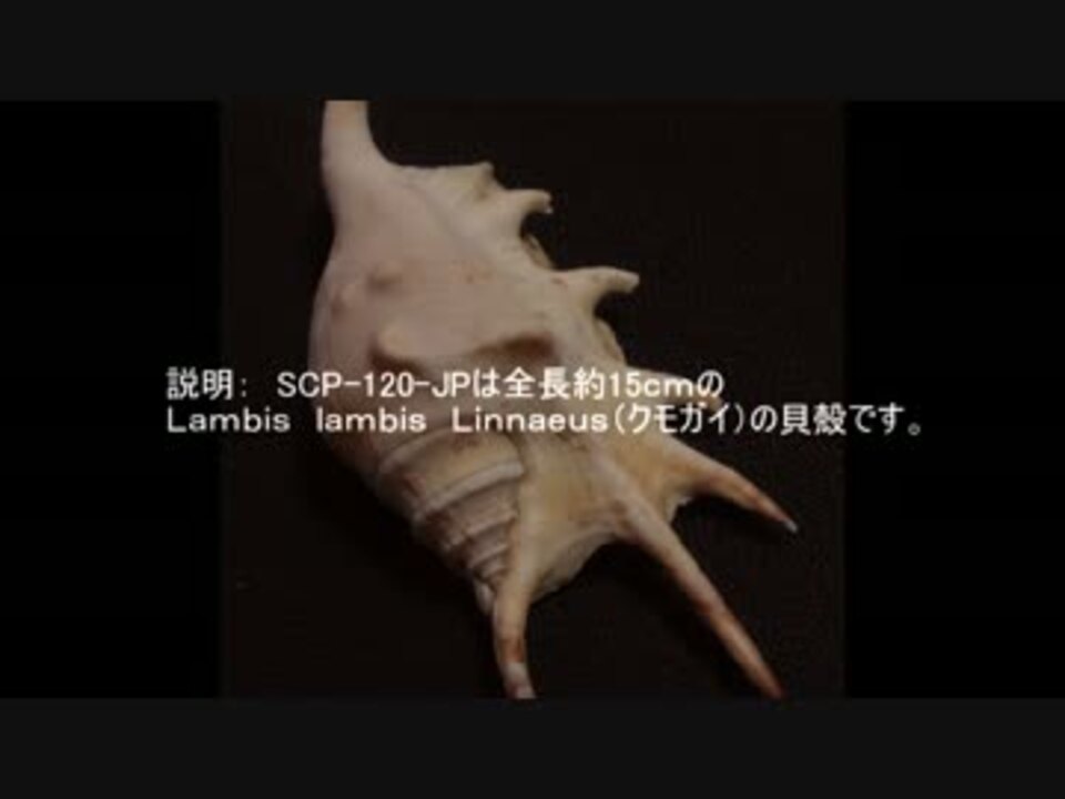 【SCP-JP】SCP-120-JP（前編） - ニコニコ動画