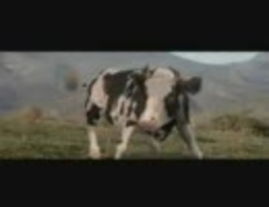 Matrix Cow - ニコニコ動画