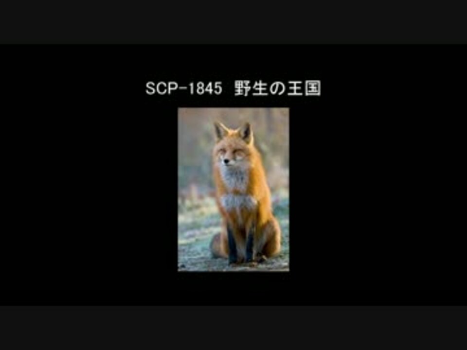 【ゆっくり朗読】SCP-1845 野生の王国【SCP Foundation】 - ニコニコ動画
