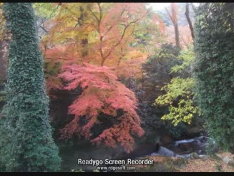 (歌ってみた)Boo Bee MAGIC／鈴木紗理奈 - ニコニコ動画