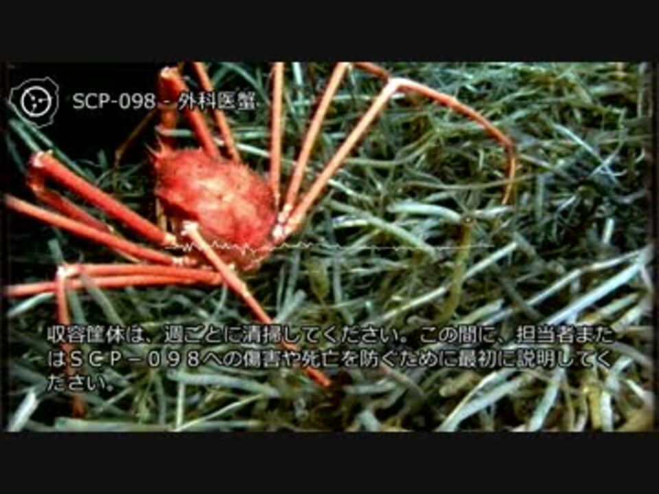 SCP-098 - 外科医蟹 - ニコニコ動画