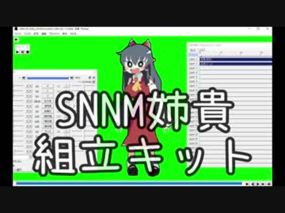 SNNM姉貴組立キット - ニコニコ動画