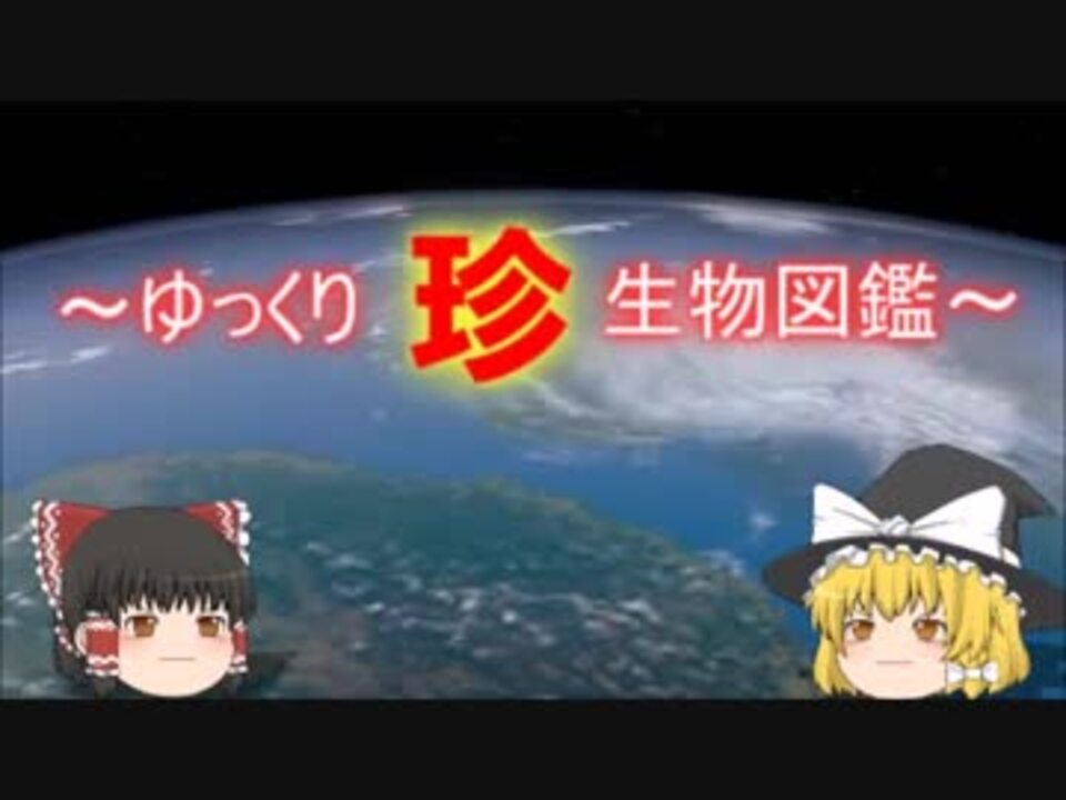 ～ゆっくり 珍 生物図鑑～ 新・60回 - ニコニコ動画