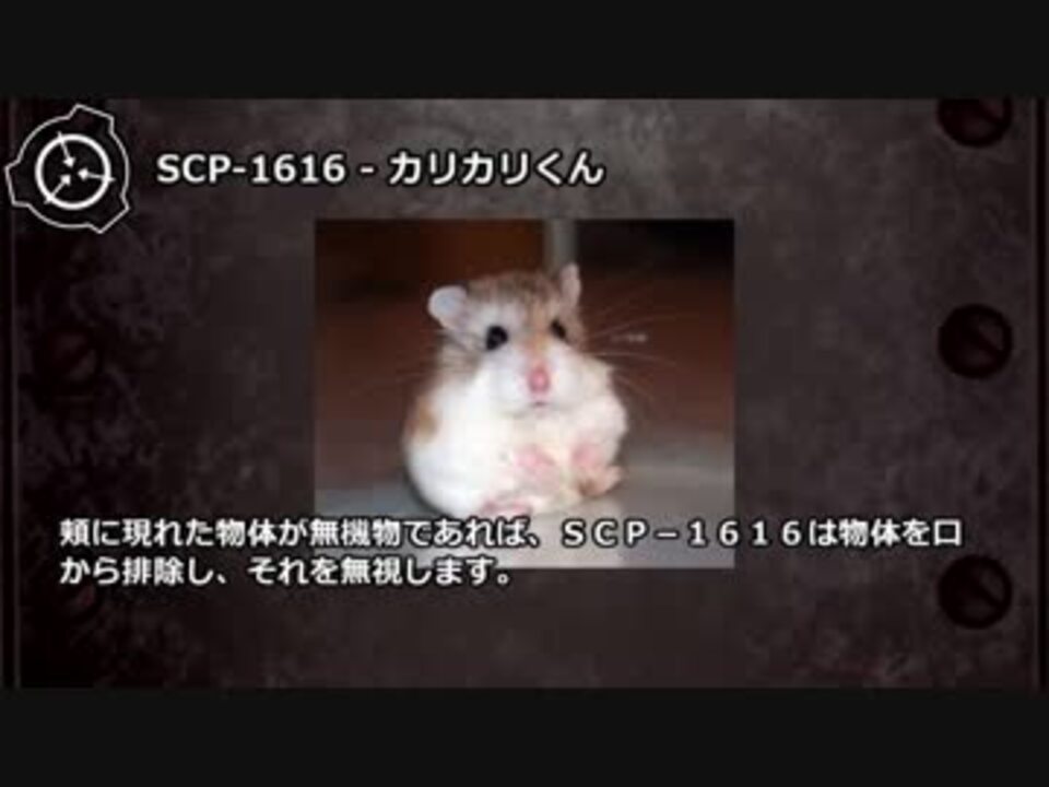 【怪異212】SCP-1616 - カリカリくん - ニコニコ動画