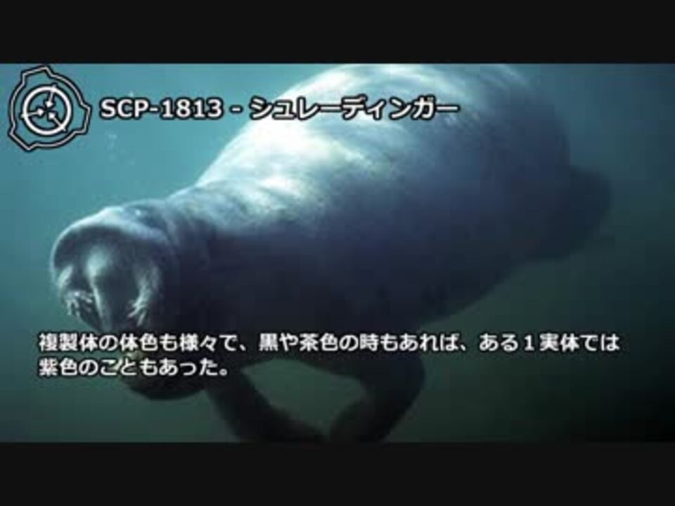 【怪異264】SCP-1813 - シュレーディンガー - ニコニコ