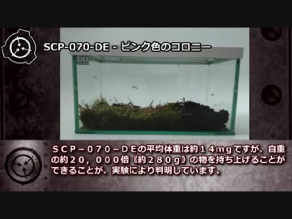 【怪異319】SCP-070-DE - ピンク色のコロニー - ニコニコ動画