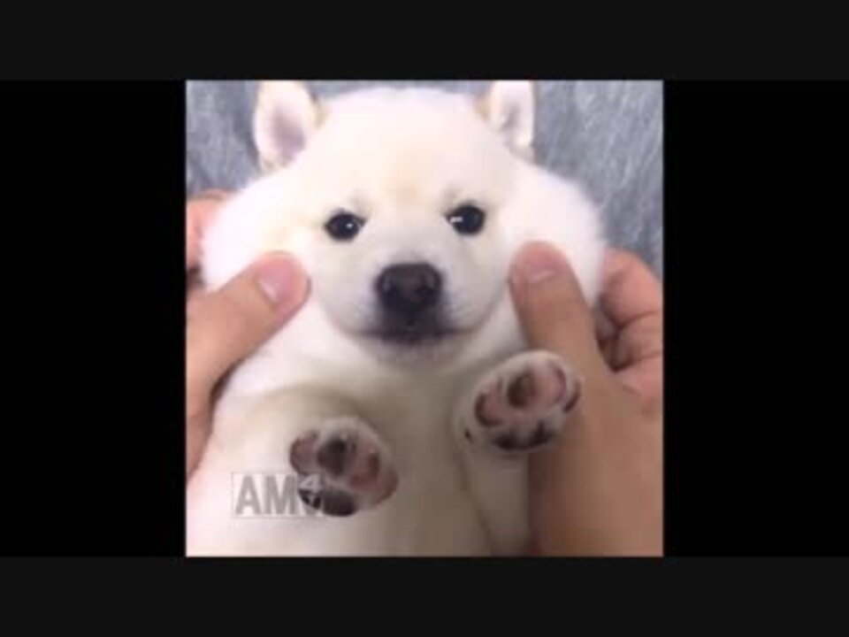 ムニムニムニムニムニ ニコニコ動画