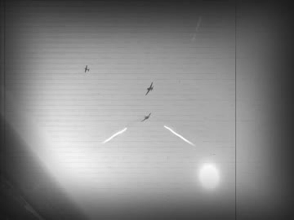 P-47を撃墜する零戦のガンカメラ - ニコニコ動画