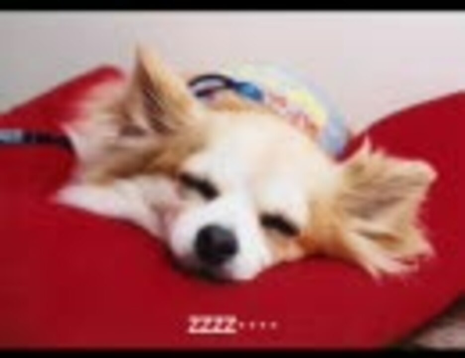 【vocaloid】Perfumeポリリズム改・ポリイズム。スタジオ録音高音質！ - ニコニコ動画