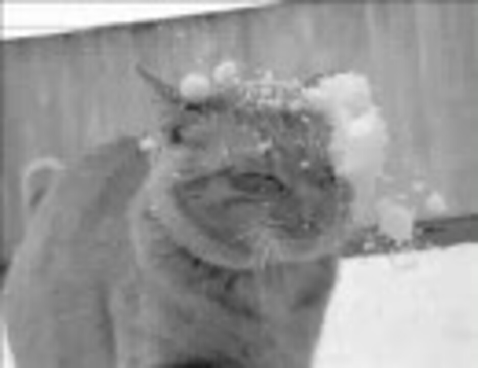 doze-off