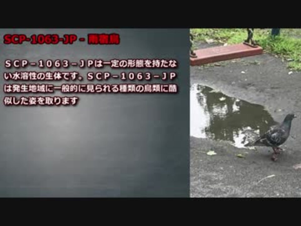 【怪異499】SCP-1063-JP - 雨宿鳥 - ニコニコ動画