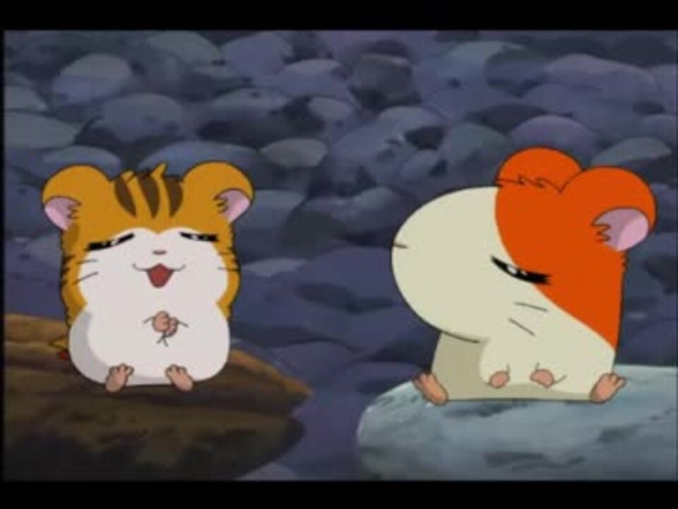 Hamtaro - Sandy's song (Japanese and English versions) - ニコニコ動画