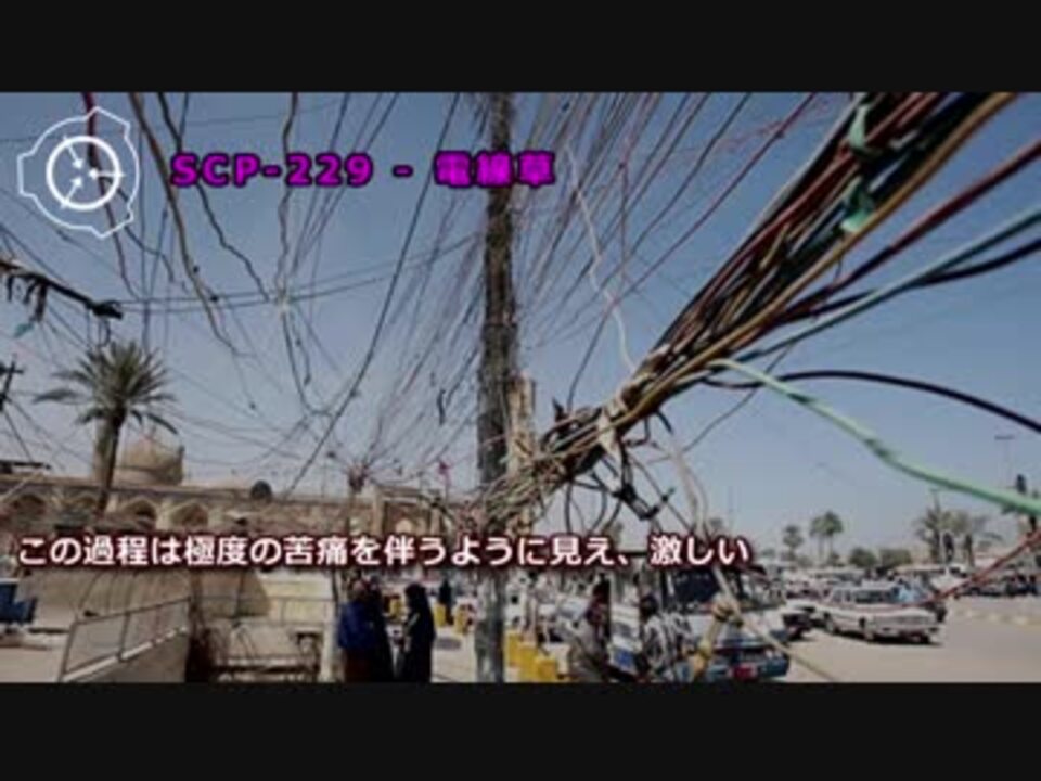 SCP-229 - 電線草 - ニコニコ動画