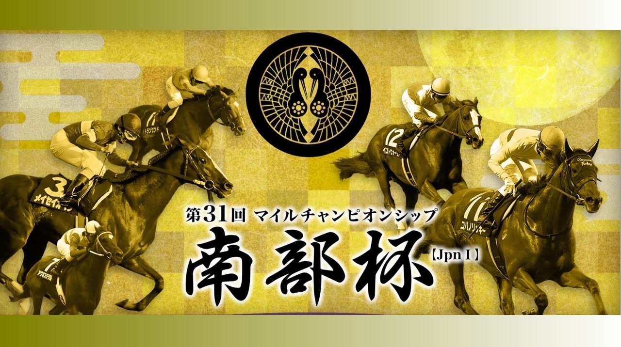 【地方競馬】プロ馬券師よっさんの第31回マイルチャンピオンシップ南部杯(JpnⅠ) - ニコニコ動画