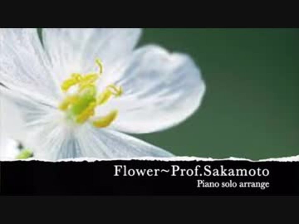 Flower〜Prof.Sakamoto〜Piano solo arrange - ニコニコ動画