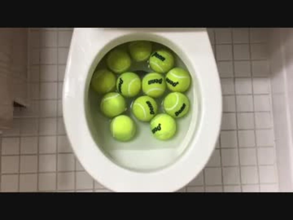 テニスボールをトイレに流してみた - ニコニコ動画