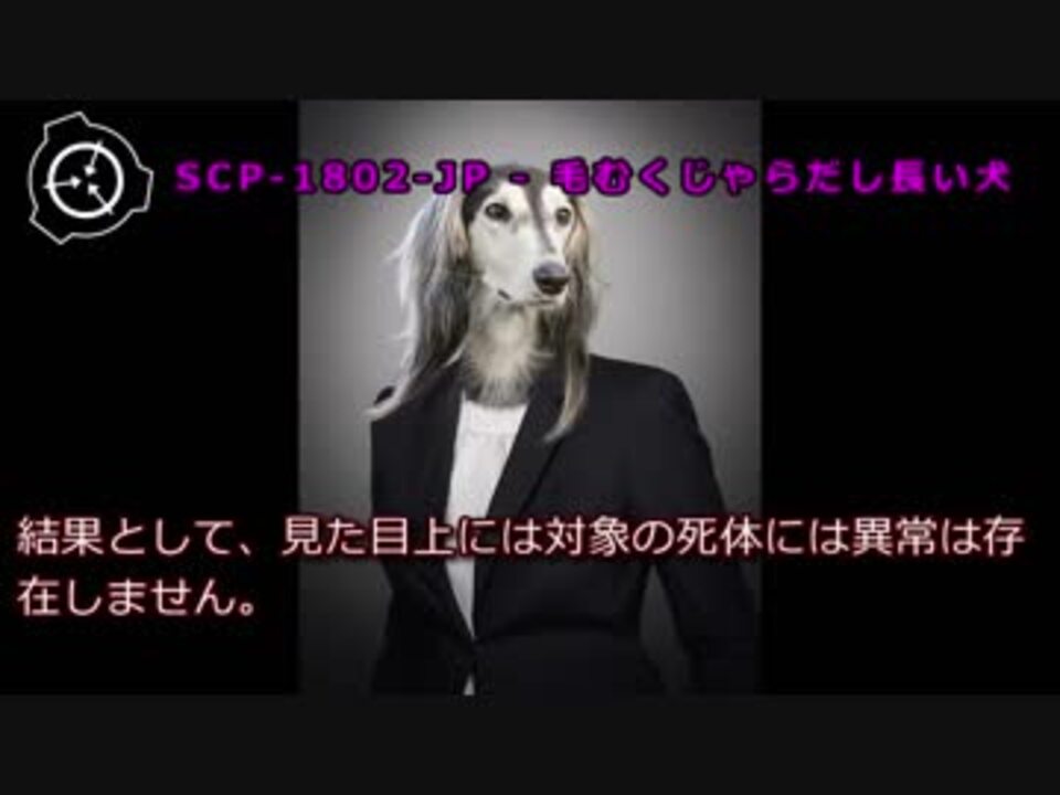 【怪異845】SCP-1802-JP - 毛むくじゃらだし長い犬 - ニコニコ動画