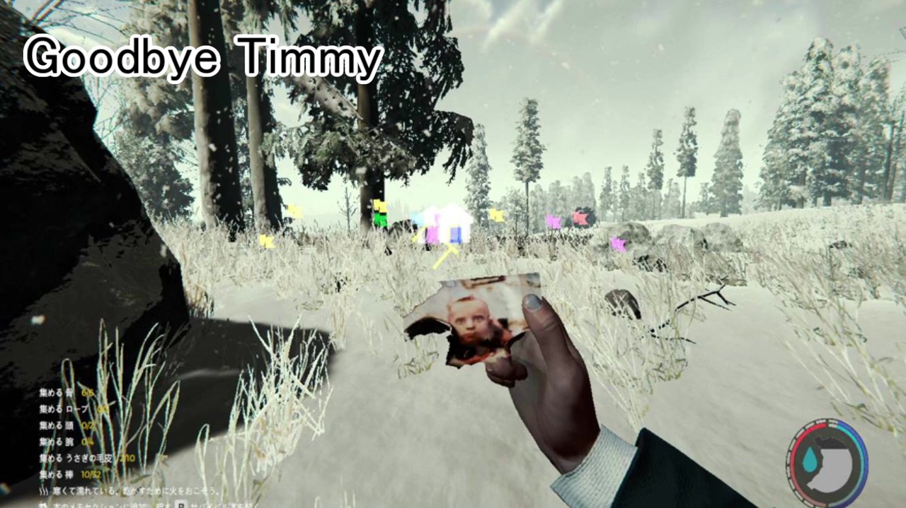 【THE FOREST】True END?「GoodBye 【 Timmy 】」【三人実況】 - ニコニコ動画