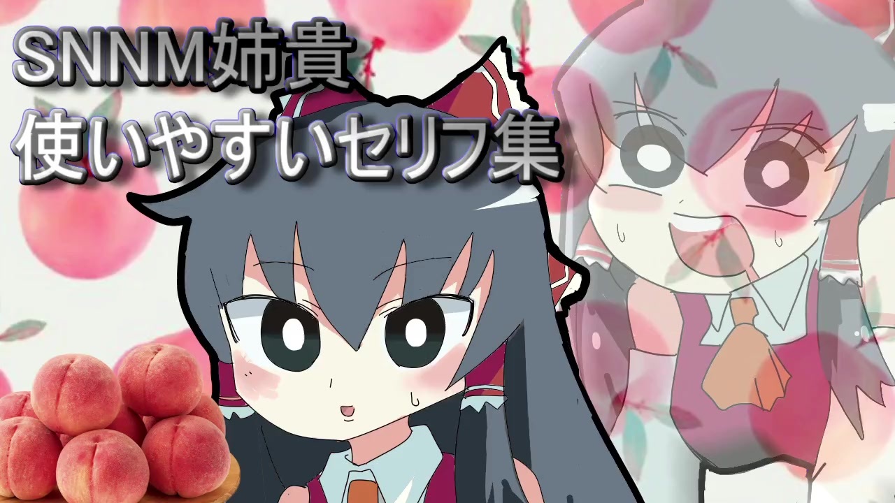 SNNM姉貴の使いやすいセリフ集 - ニコニコ動画