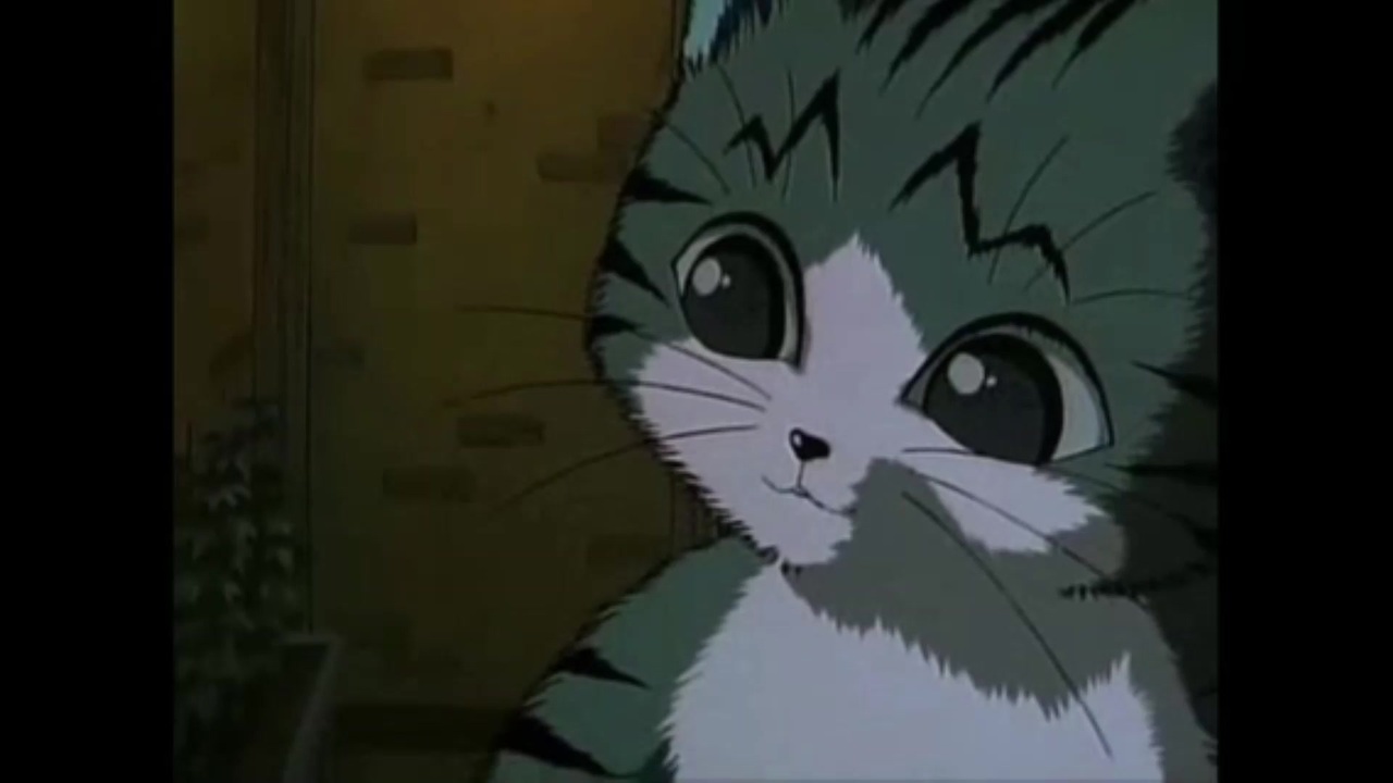 1993年12月17日 OVA ぼくの地球を守って エンディング 「時の記憶」（SEIKA） - ニコニコ動画