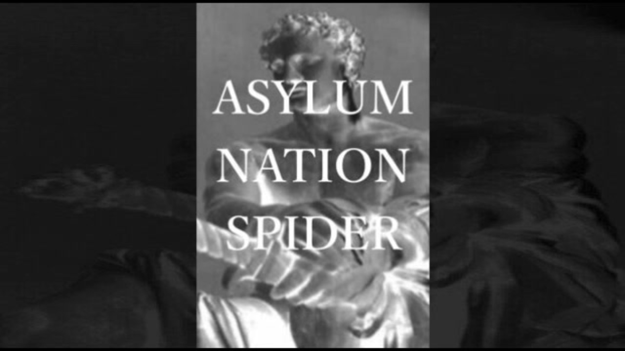 ASYLUM NATION SPIDER【NNI】 - ニコニコ動画