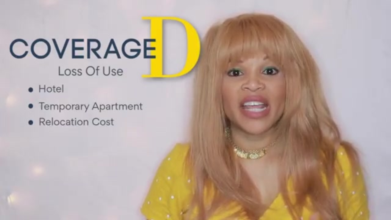 Basics of Renters Insurance Apartment Insurance Tenant Insurance and ...