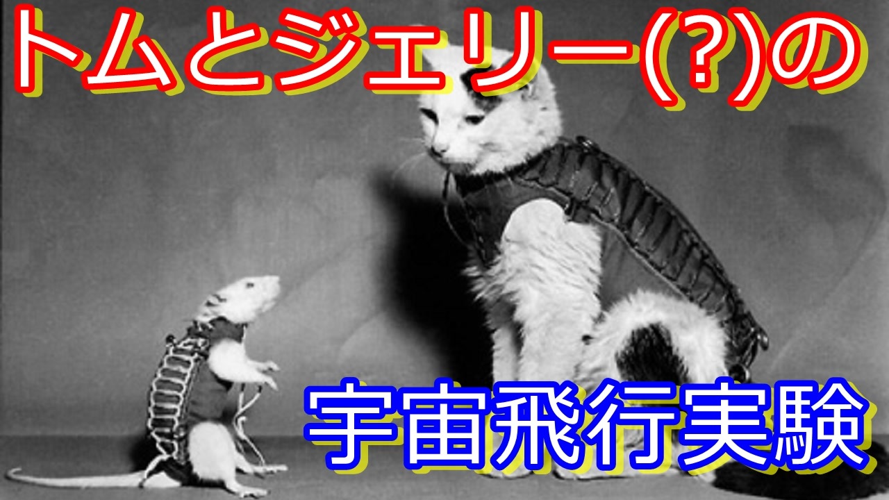 【ゆっくり解説】宇宙に行った動物たち その5 フランスのトムとジェリー - ニコニコ動画