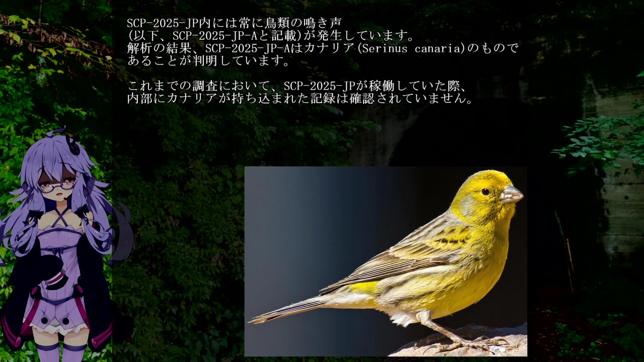 【SCP紹介】 教えて！ ゆかり先輩！ SCP-2025-JP - カナリアの啼く時に - ニコニコ動画