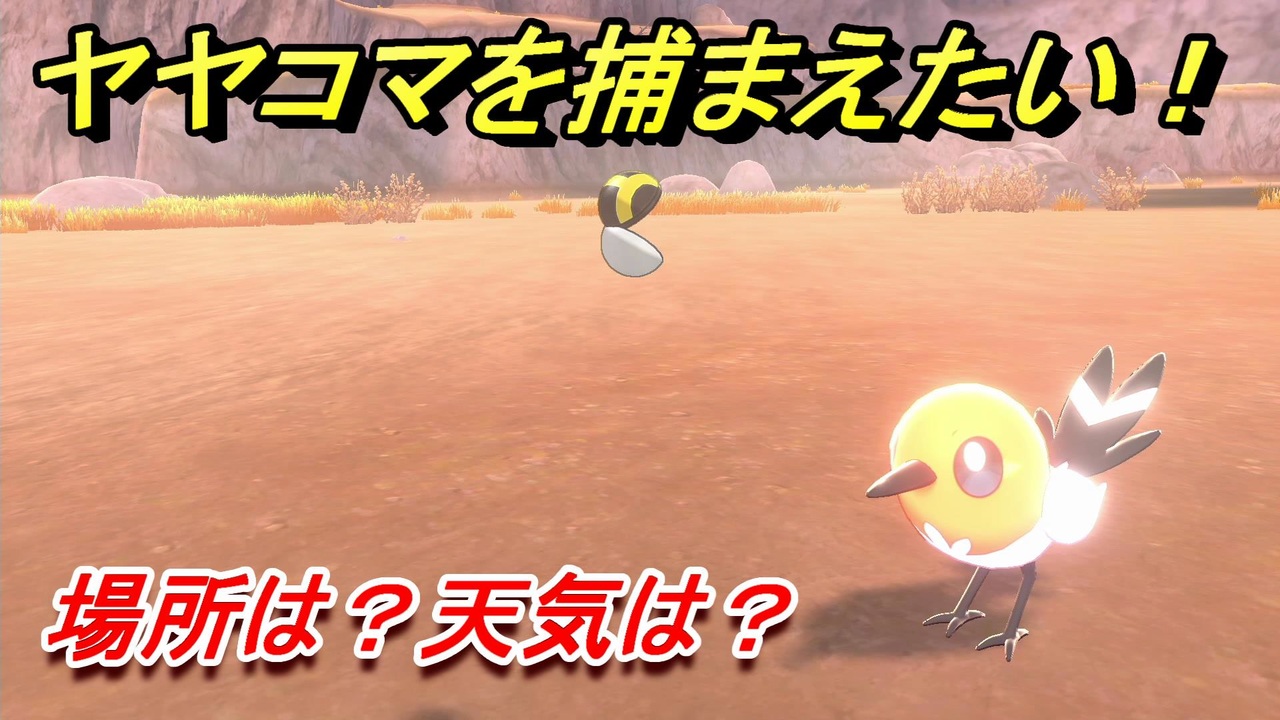 ポケモン剣盾 ヤヤコマを捕まえる方法！オススメの場所は？天気は？ポケモン図鑑コンプへの道！ 【ポケモンソード・シールド】 ニコニコ動画