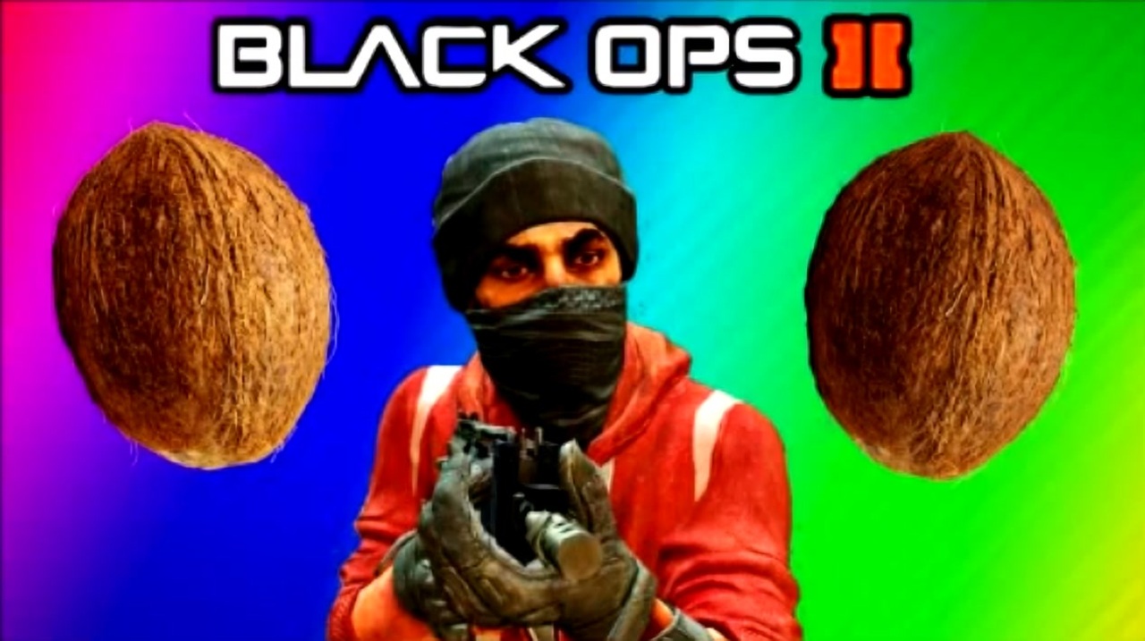 Black Ops 2 Funny Random Moments - Wildcat Coconut Tutorial, Anti Ninja ...