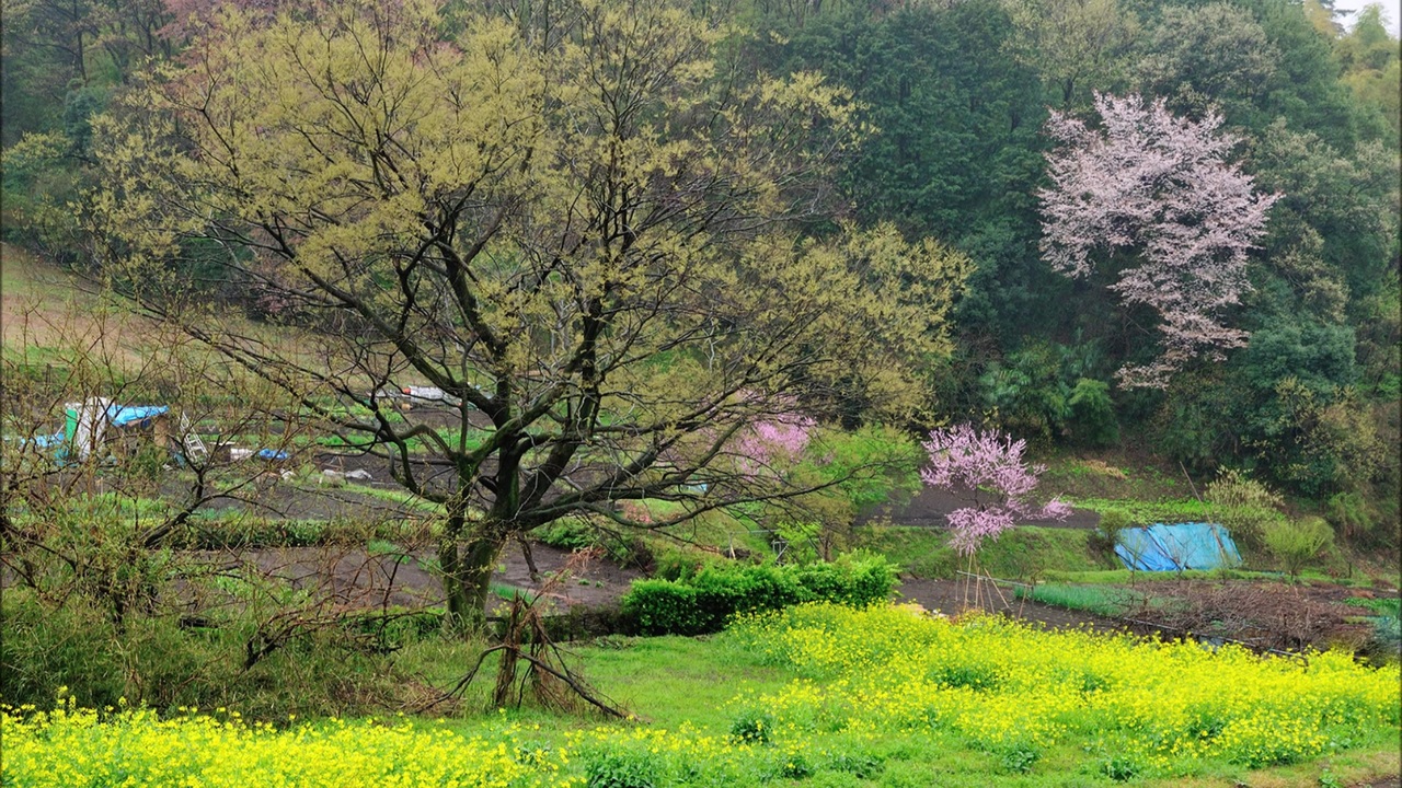 Uplifting Trance DnB Reconnoitre [ZachPayne] 115bpm→203bpm - ニコニコ動画